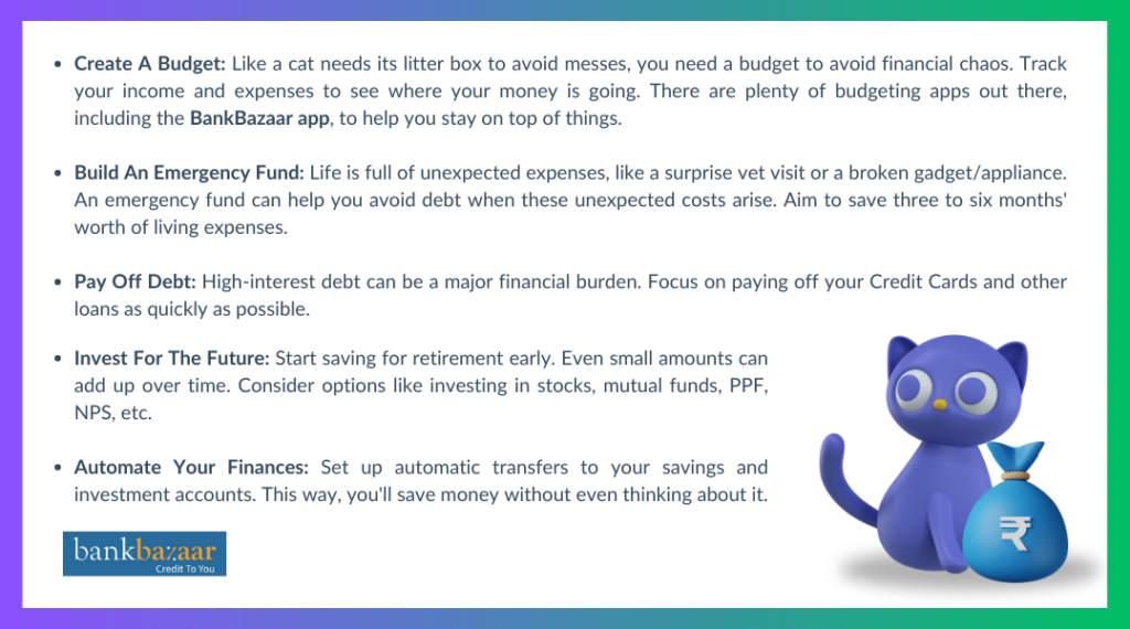 How Cats Boost Mental Health and Financial Wellness